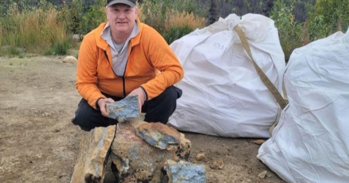 Nova Minerals begins bulk testing for antimony at Estelle | ASX:NVA ...