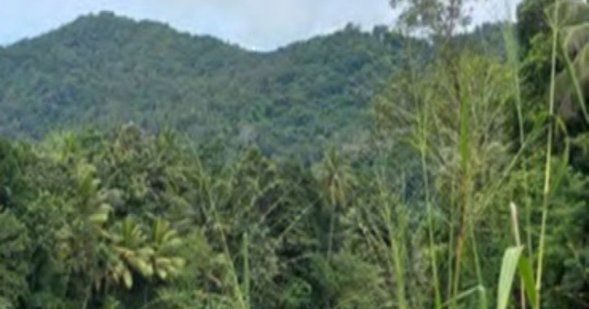 Applied Graphite Technologies Identifies Anomalies in Geophysical Survey at Queens Mine Complex ...