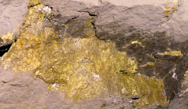 Torr Metals identifies six new gold bearing structures on Filion ...