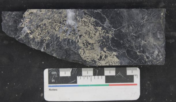 Evergold reveals positive initial assay results from DEM prospect in ...