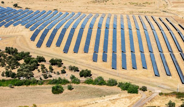 Octopus Renewables exits Spanish solar deal as 'more attractive than ...