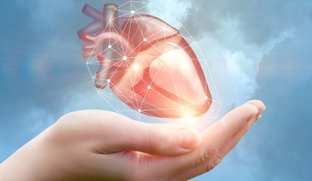 Anteris Technologies completes three 'difficult to treat' valve-in ...