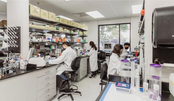 Willow Biosciences and Enterin to collaborate on sustainable ...