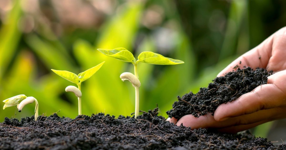 Millennial Potash releases Maiden Mineral Resource Estimate on Banio Potash Project | TSX-V:MLP ...