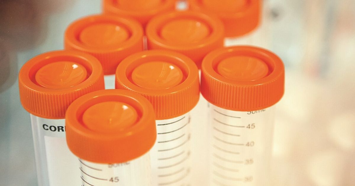 GSK: American investment bank goes positive on the stock for the first ...