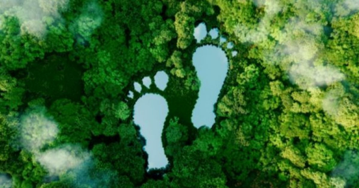 Titan Minerals boosts gold exploration footprint with land access ...