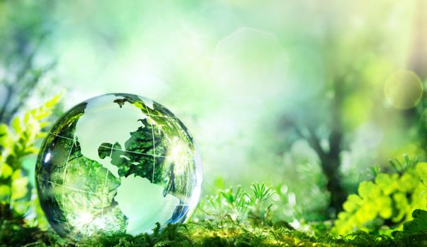 SSV Capital's vision for a sustainable future in finance and real ...