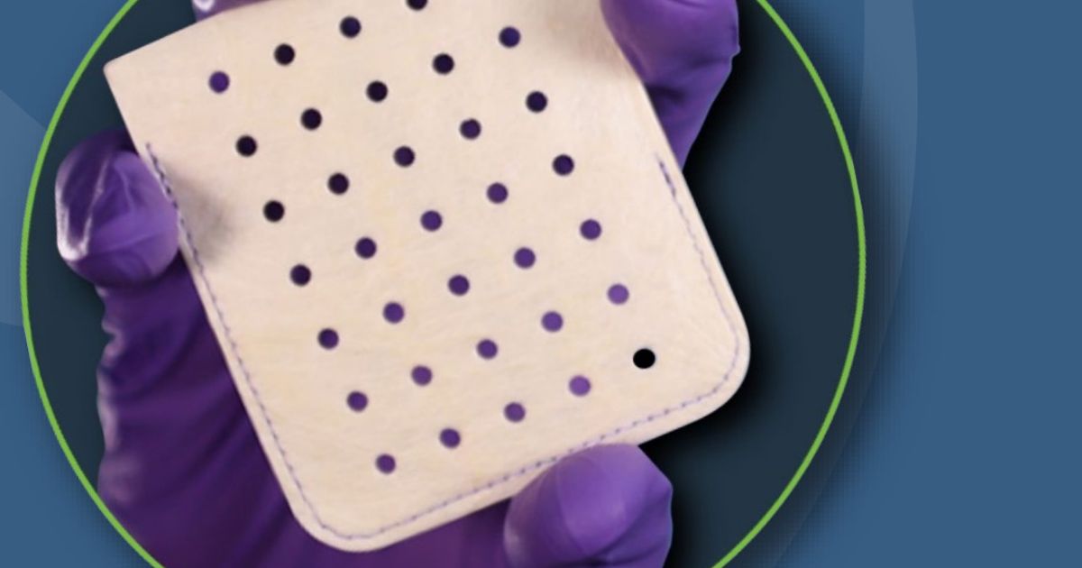 Elutia's CanGarooRM: Pioneering Drug-Eluting Biologic for Secure ...