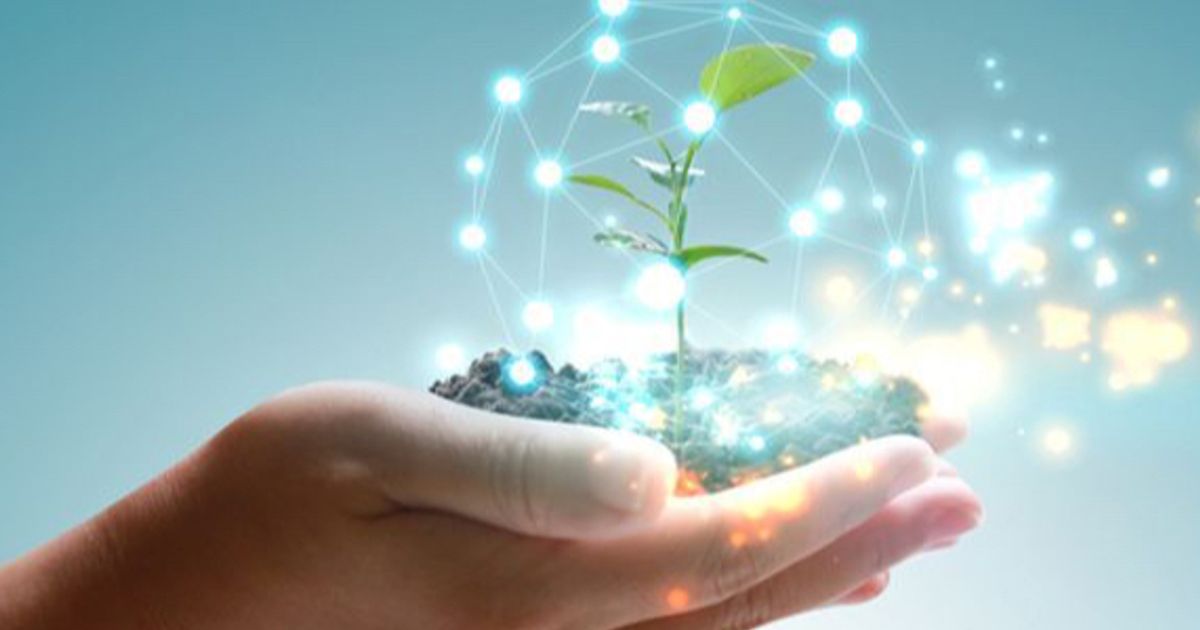 Top End Energy CEO Oliver Oxenbridge on Northern Territory acquisitions ...