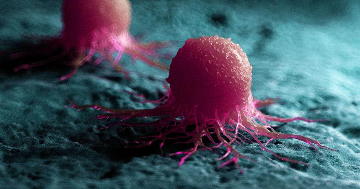 Arovella Therapeutics to present ALA-101 CAR-iNKT cell therapy to American Association for ...