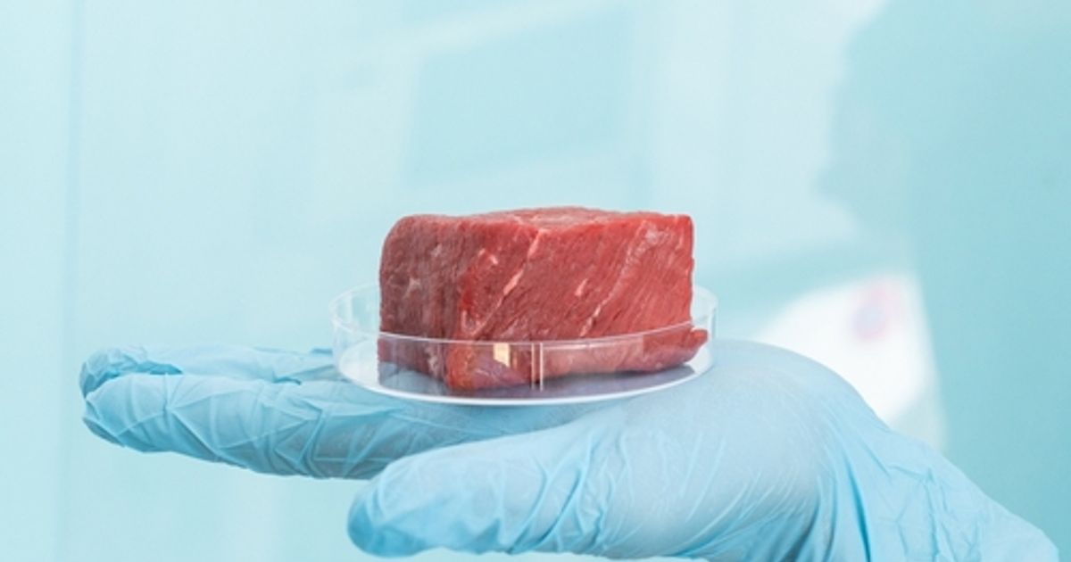 BSF Enterprise shares rally, lab-grown meat on the way? | LSE:BSFA