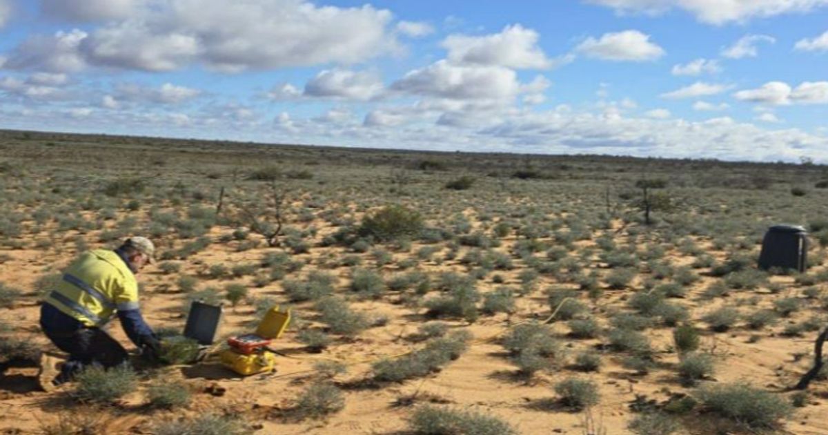 Legend Mining identifies zones with high conductors in maiden survey at ...
