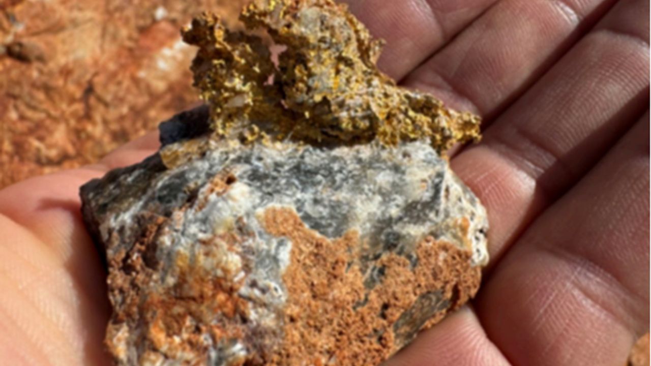 Artemis Resources delivers rock chips exceeding 55% gold and 1,000 g/t ...