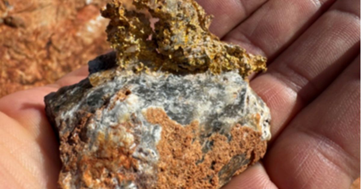 Artemis Resources delivers rock chips exceeding 55% gold and 1,000 g/t ...
