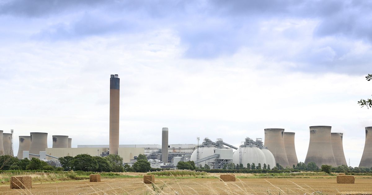 Drax subsidies under scrutiny as government urged to ditch biomass ...