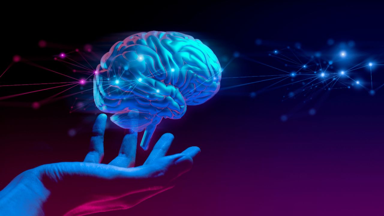 Immunic highlights progress in multiple sclerosis programs, targets ...