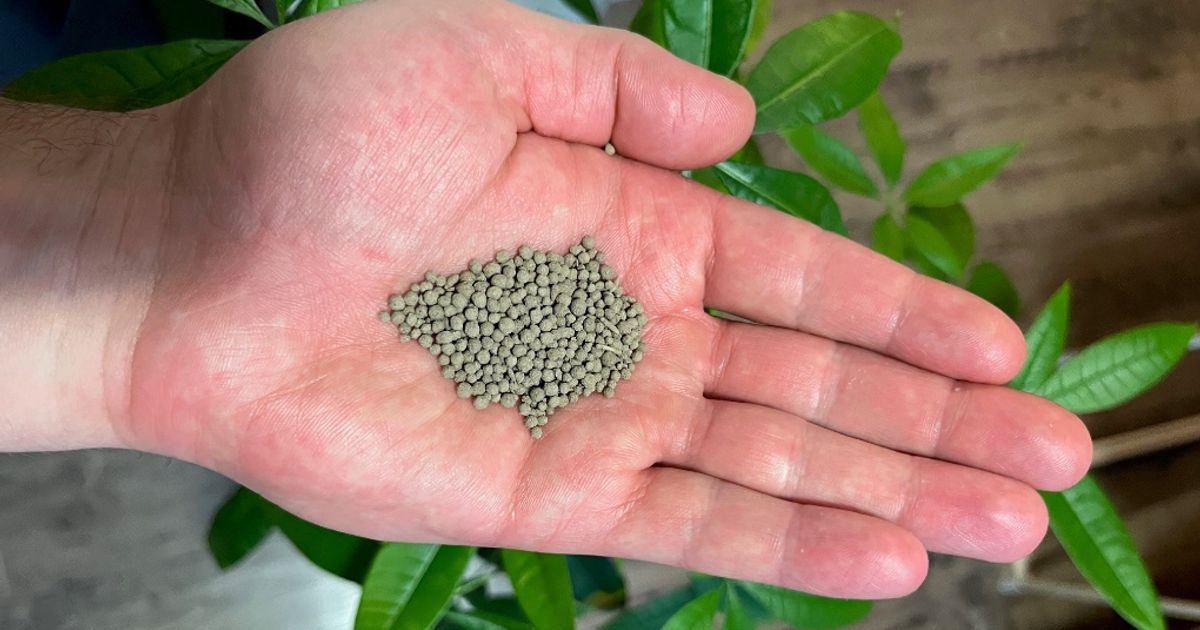 Replenish Nutrients points to strong demand for natural fertilizers ...