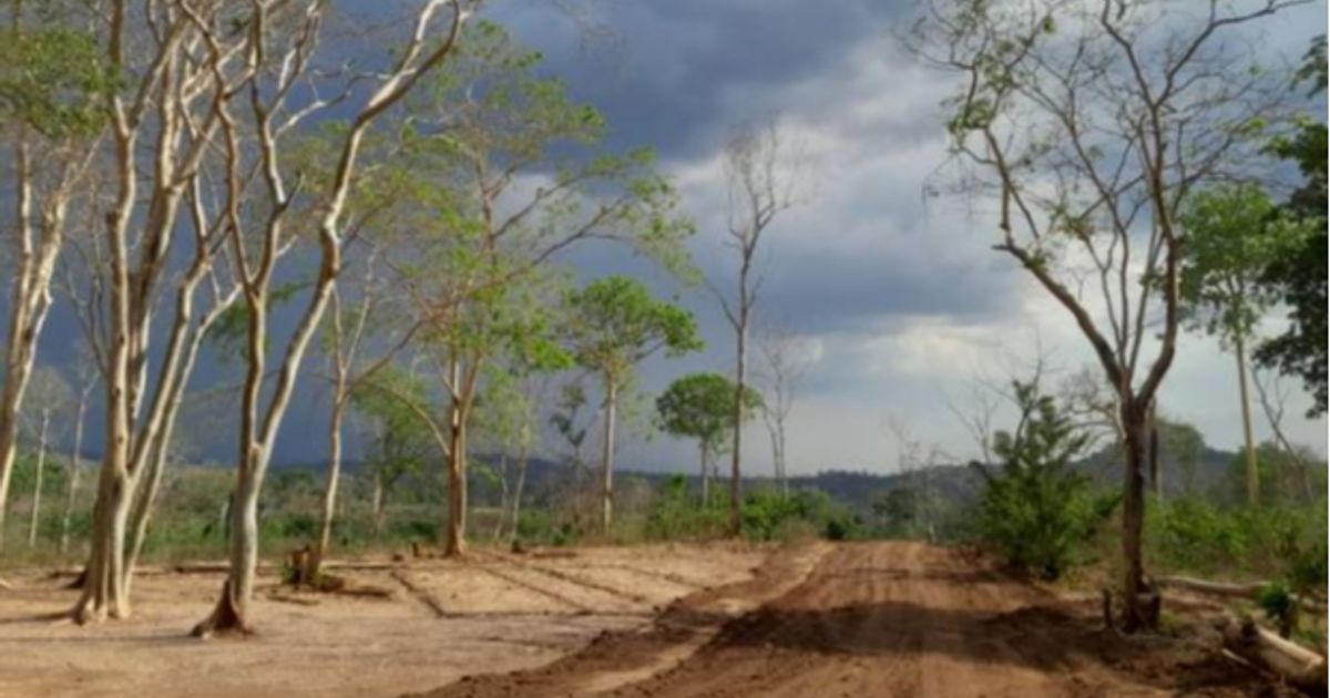 Evolution Energy Minerals site works now underway at Chilalo Graphite ...