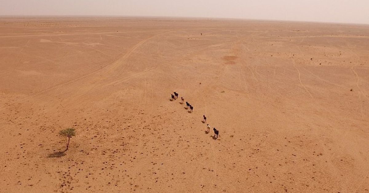 GoviEx Uranium CEO Daniel Major on market dynamics and project progress ...