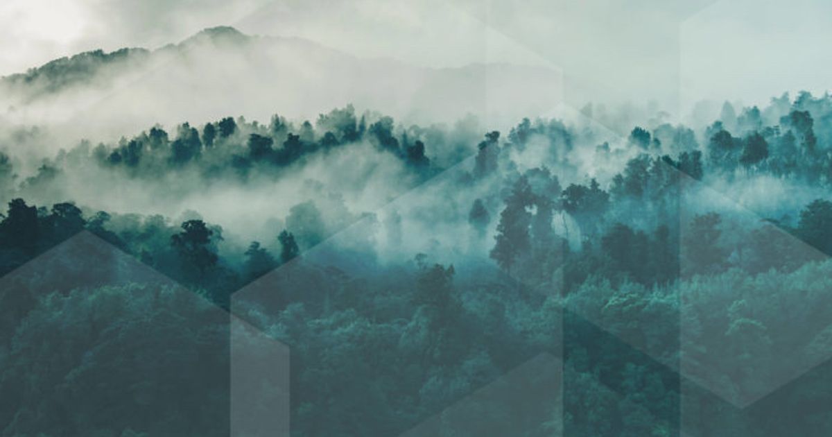 Digbee's Jamie Strauss on how sustainability shapes modern mining ...