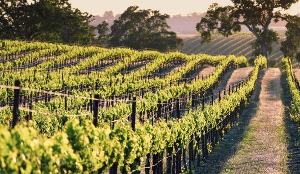 Eden Research’s Mevalone fungicide added to Organic Input List in ...