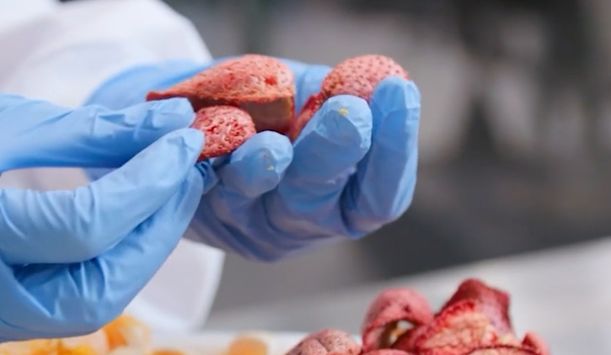 EnWave reports surge in Q4 royalties as revenue increases | TSX-V:ENW ...