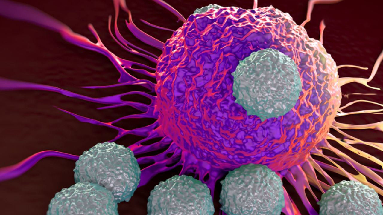 Tempus AI shares jump on new oncology AI partnerships with AstraZeneca ...