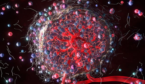 Imugene clears first IV dose level in Phase 1 onCARlytics trial for ...