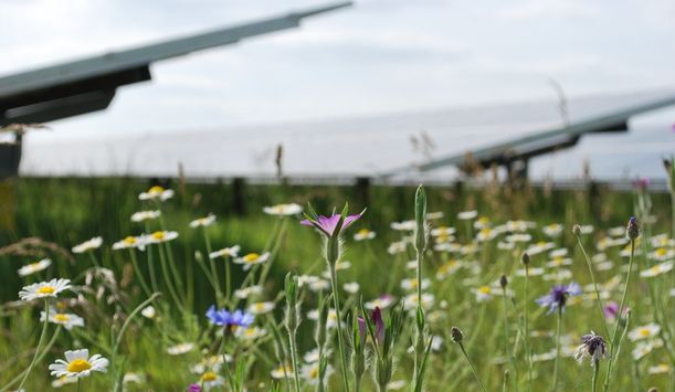 NextEnergy Solar Fund names new interim chair | LSE:NESF