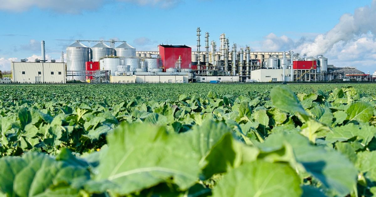 US trade deal claims two corporate victims with two UK bio-ethanol set ...