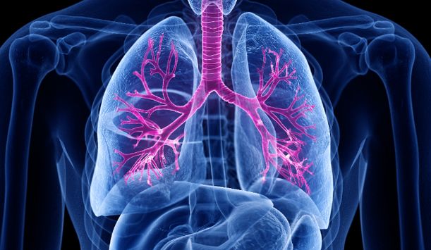 Nuformix drops 20% after interim results | LSE:NFX