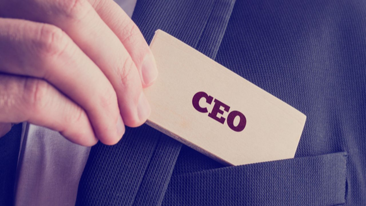 CEO pay at S&P 500 firms jumps 10% in 2024, widening worker pay gap ...