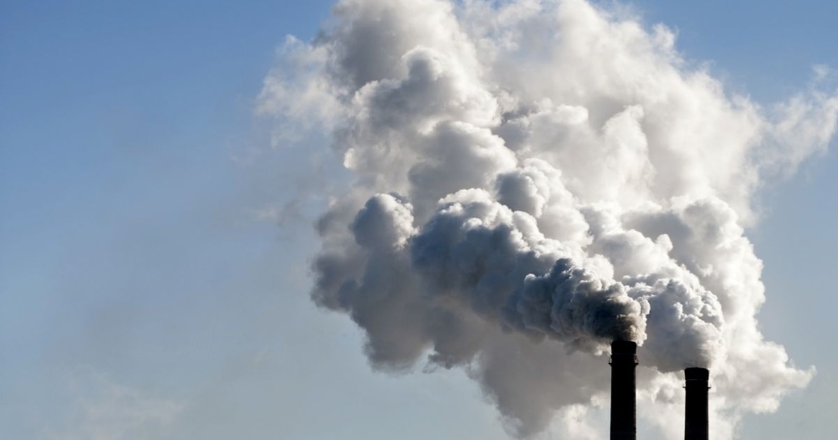 EnergyAustralia admits to greenwashing in landmark settlement over Go ...