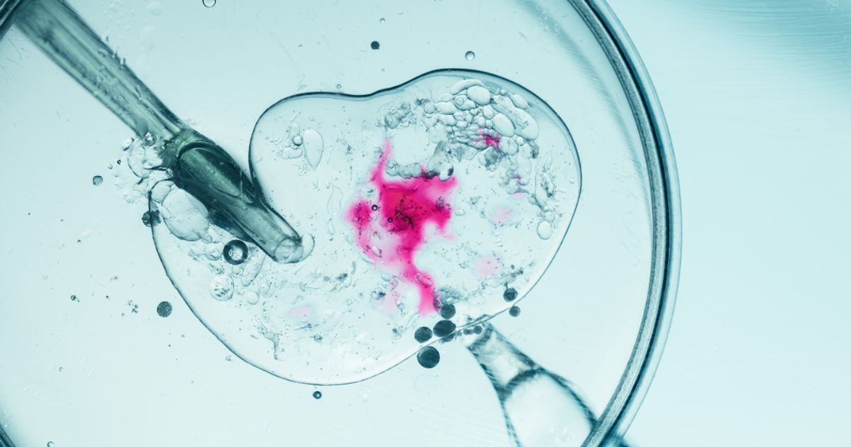 Monash IVF shares hit by second embryo mix-up incident | ASX:MVF