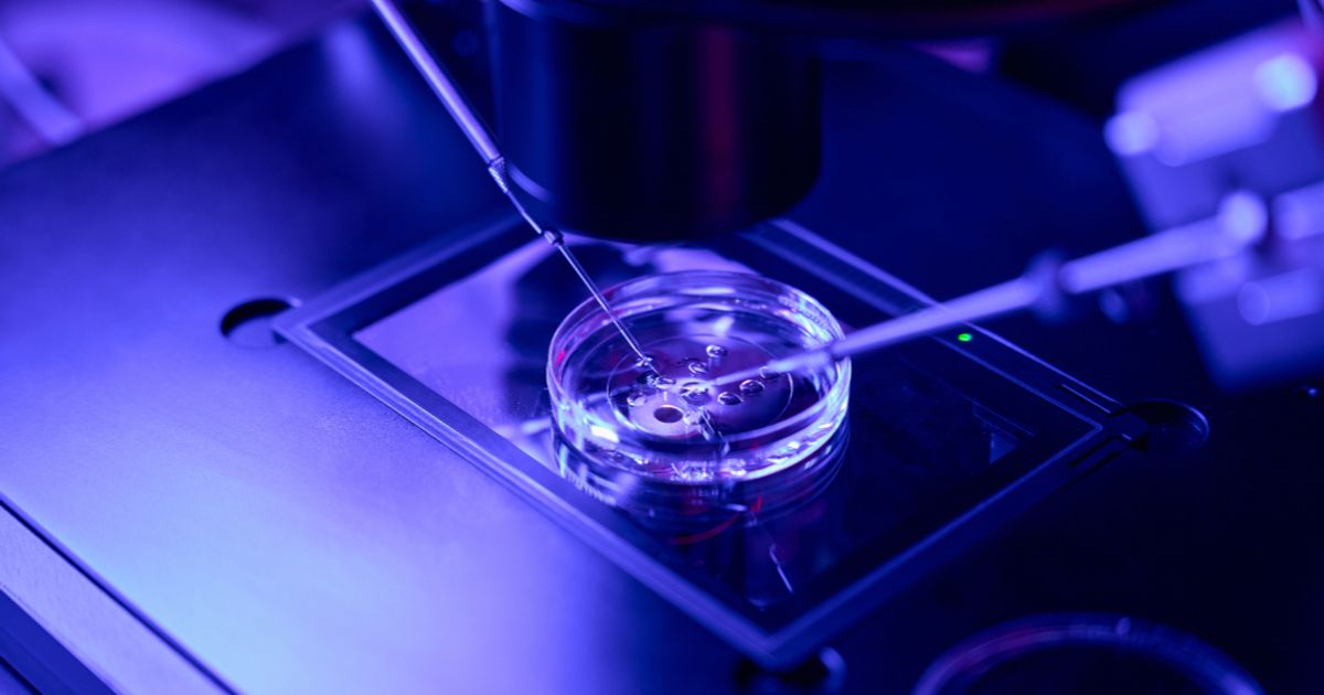 Monash IVF CEO resigns amid embryo mix-up scandals as calls for IVF ...