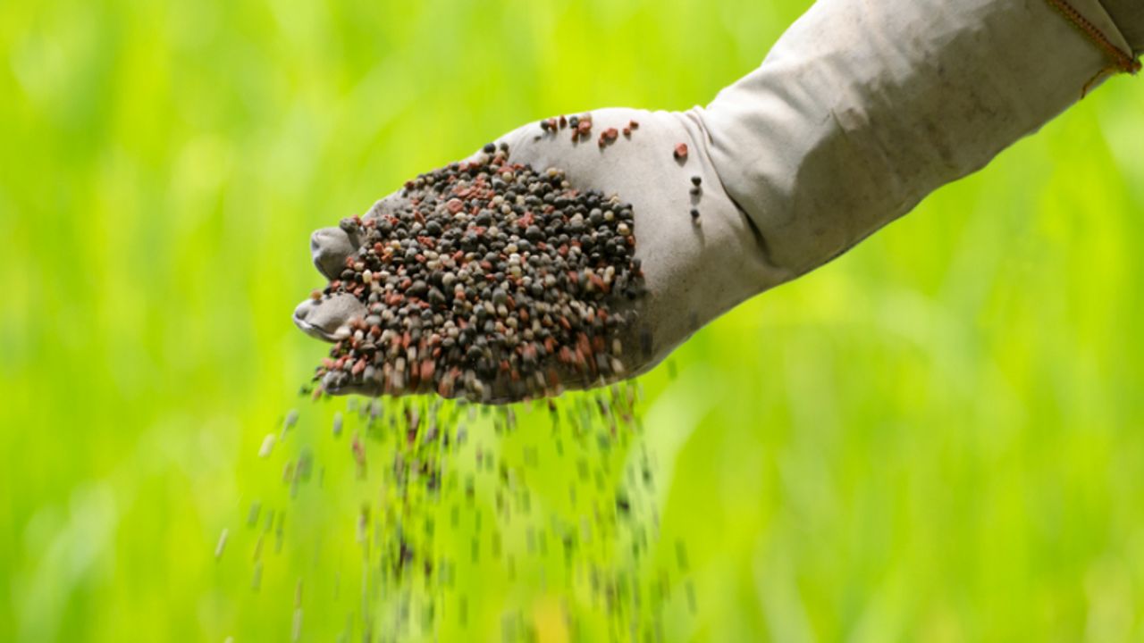 ATOME closing in on green fertiliser breakthrough at Villeta project ...