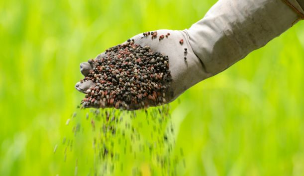 ATOME closing in on green fertiliser breakthrough at Villeta project ...