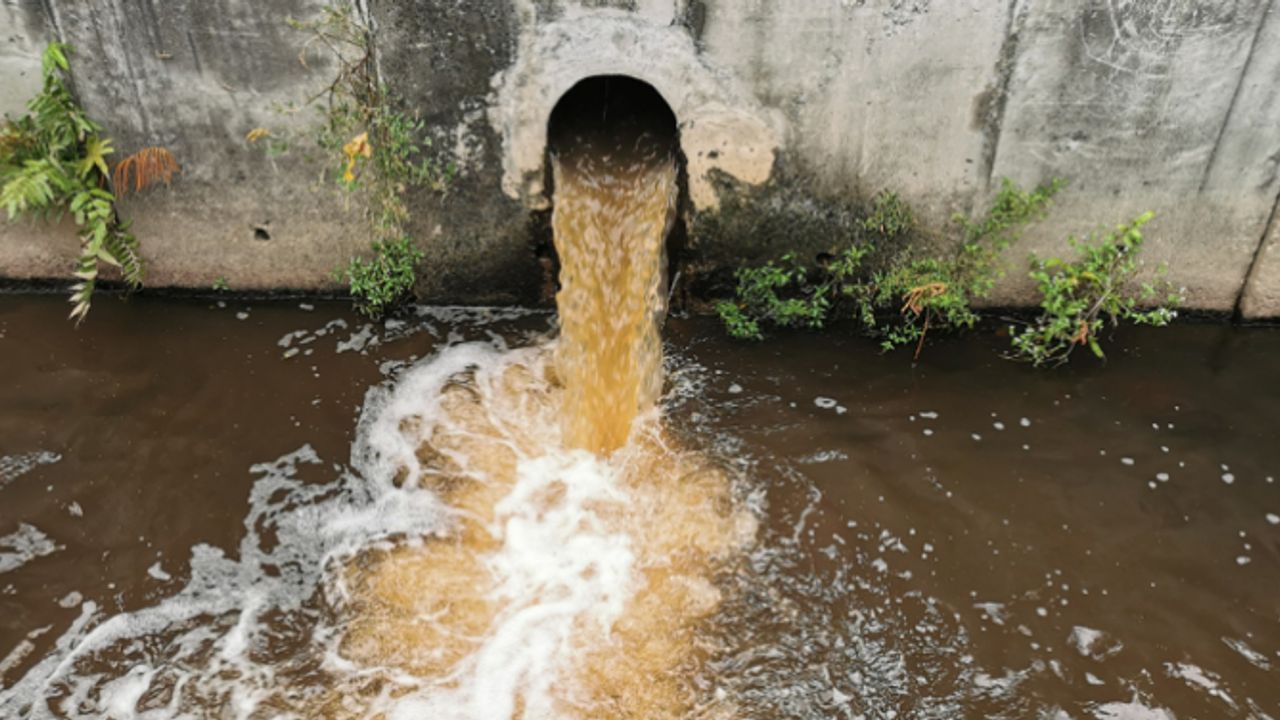 Water company shares fall after report says re-nationalisation would ...