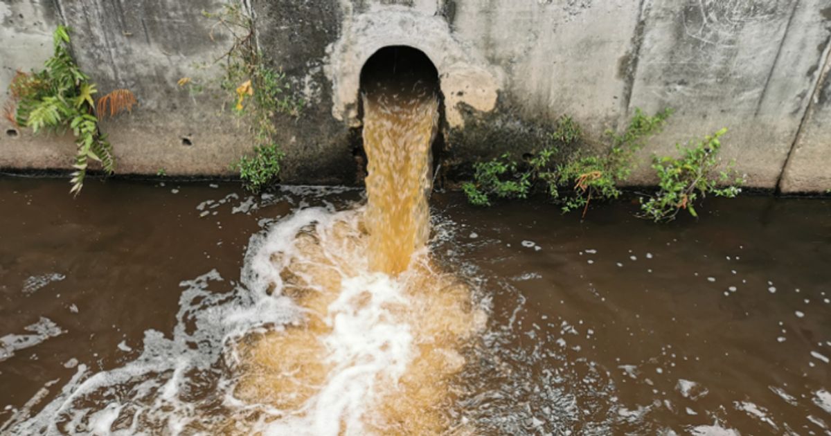 Water company shares fall after report says re-nationalisation would ...