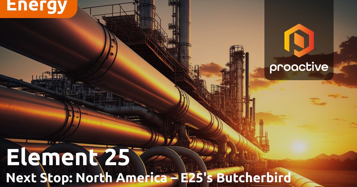 Justin Brown on global plans for Element 25’s manganese | ASX:E25 ...