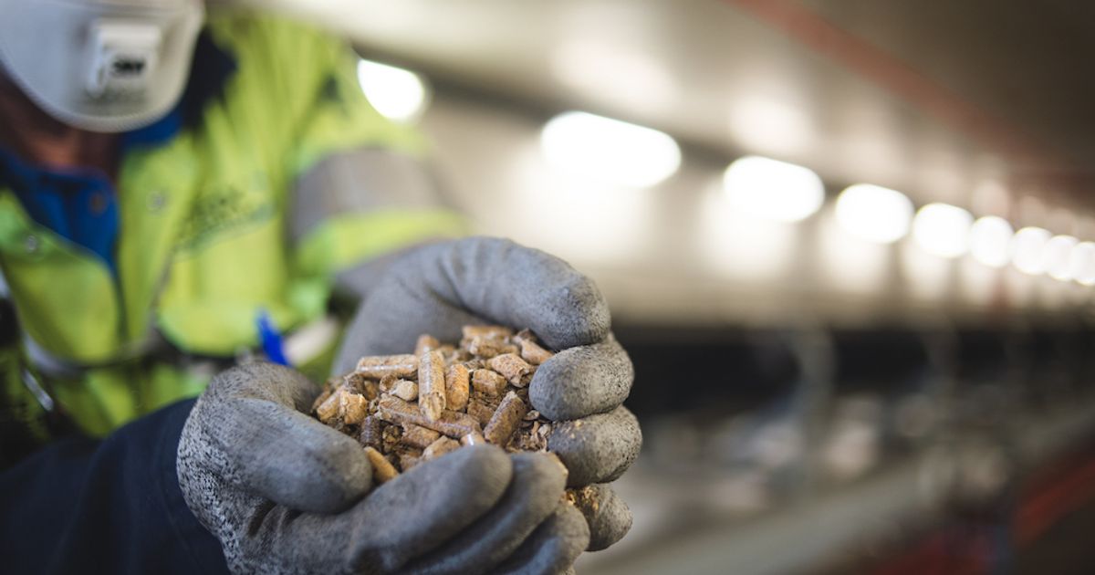 Drax biomass subsidies under scrutiny by MPs | LSE:DRX
