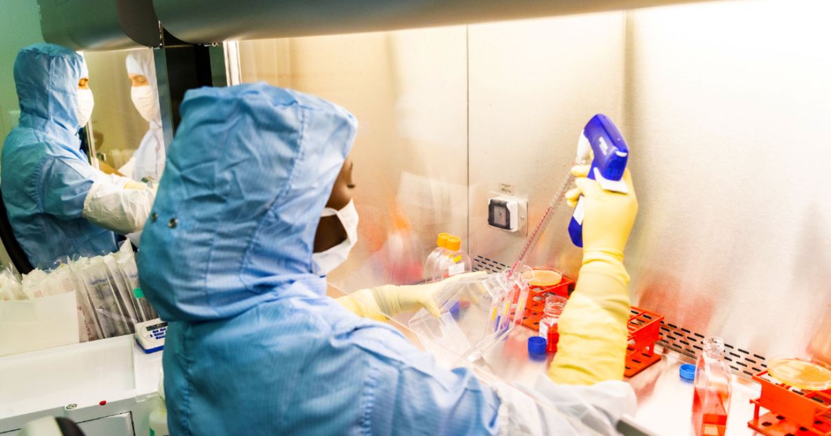 Orthocell posts record FY2025 revenue as US expansion gains momentum ...