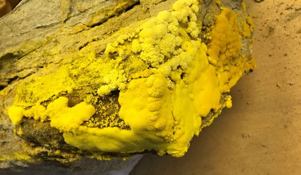 Standard Uranium launches 2025 exploration at Corvo | TSX-V:STND, OTCQB:STTDF