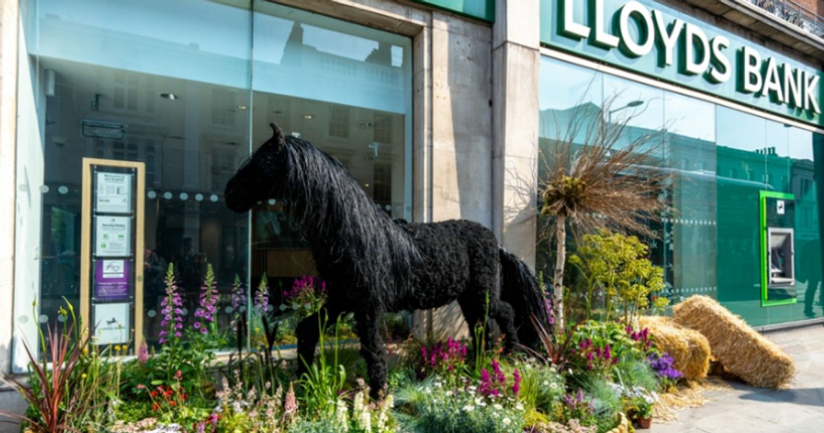 Lloyds delivers solid Q2 beat, but big decisions still ahead | LSE:LLOY