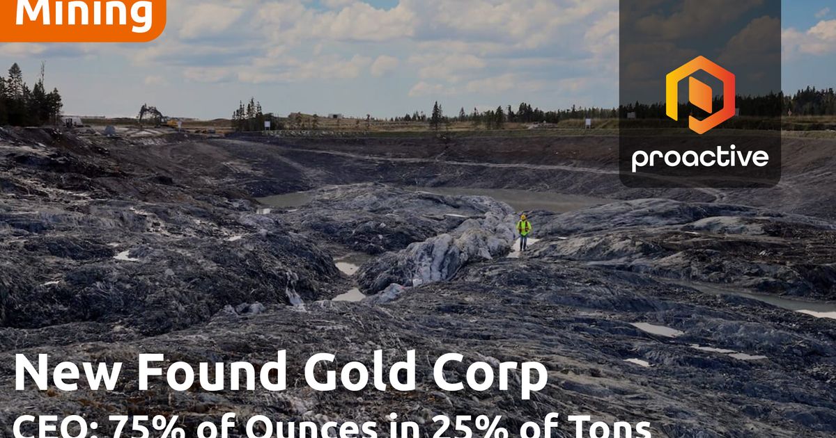 New Found Gold unveils robust PEA for Queensway Project, eyes first ...