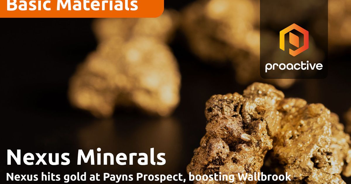 Nexus Minerals reports strong RC results at Payns | ASX:NXM