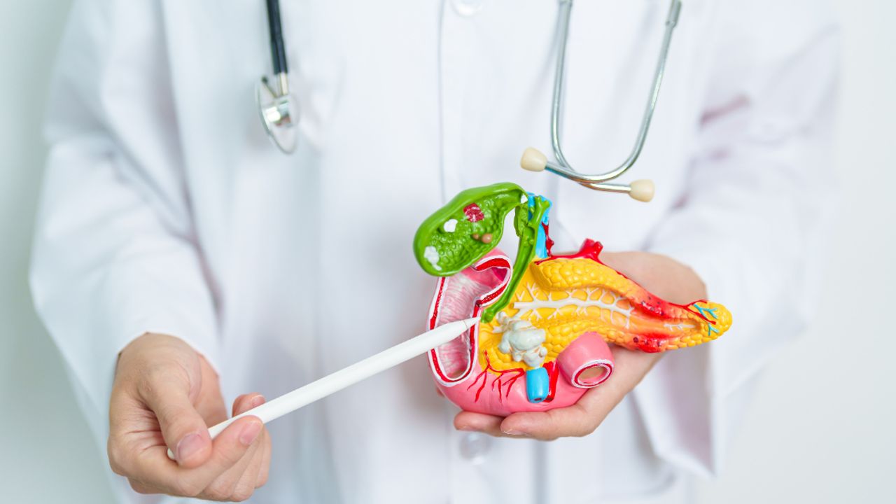 Lisata Therapeutics advances lead cancer drug, expects key trial ...