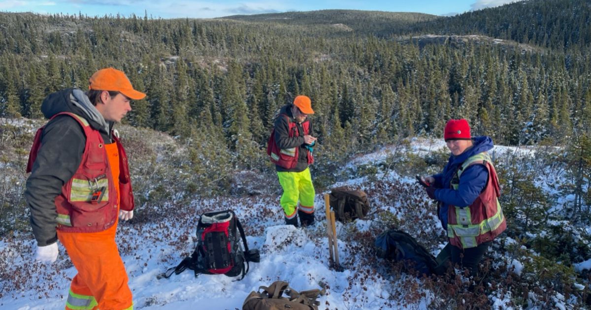 Gold Hunter Resources ready for next exploration stage in Newfoundland ...