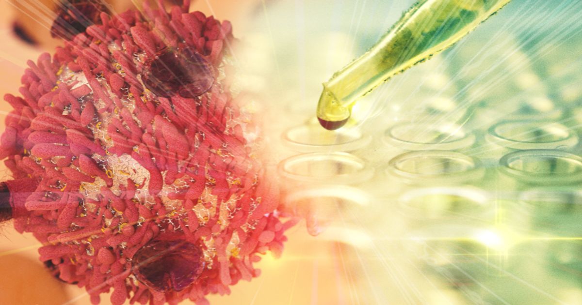 Imugene reports progress across clinical pipeline and bolsters capital ...