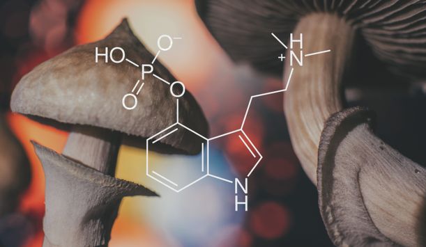 Tryptamine secures $2.6 million R&D facility to accelerate psilocin ...